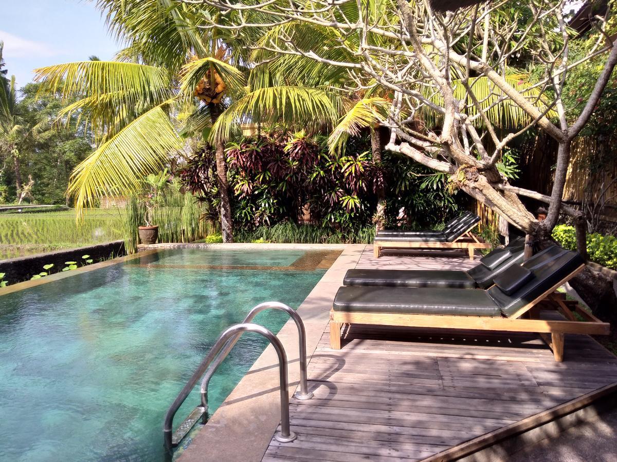 Ubud Lestari Bungalows with Minimum Price 1107142IDR: Expert Review ...